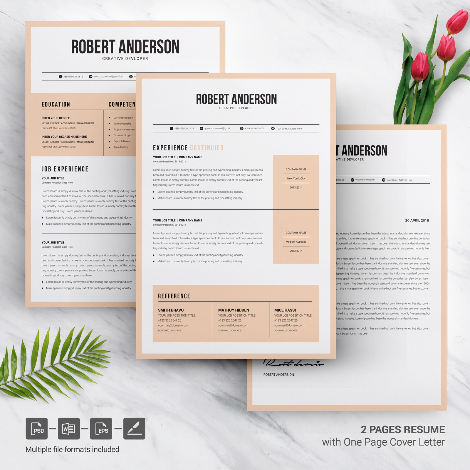 Designer & Developer Modern Resume Template - TemplateMonster