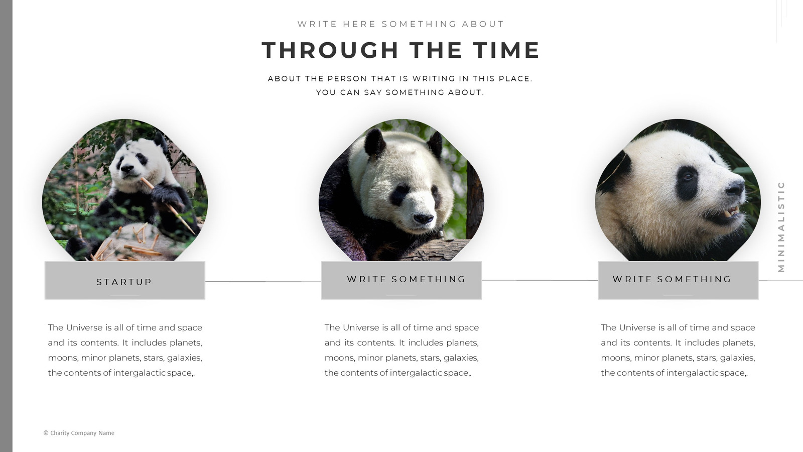 Animal Charity PowerPoint template #78793 - TemplateMonster