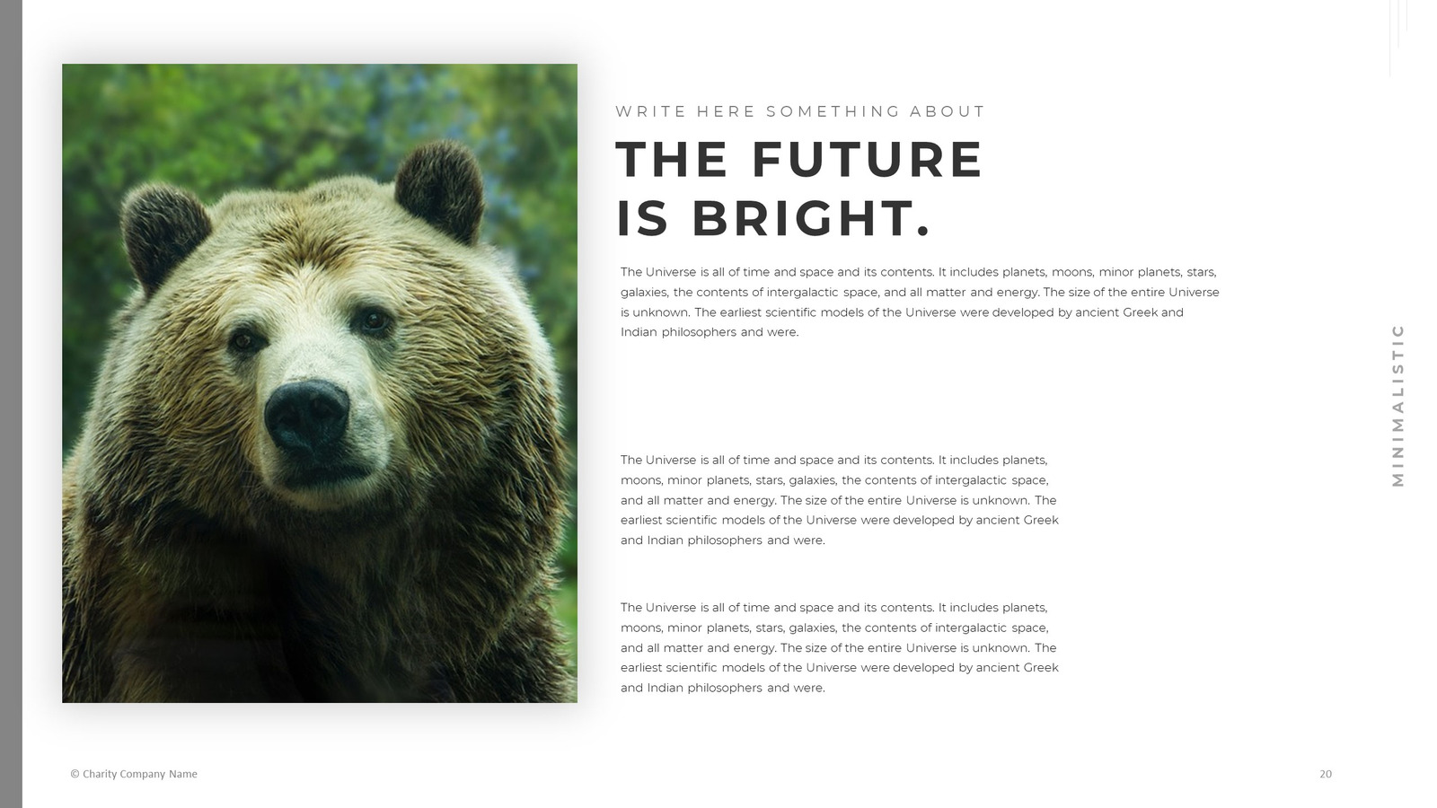 Animal Charity PowerPoint template #78793 - TemplateMonster