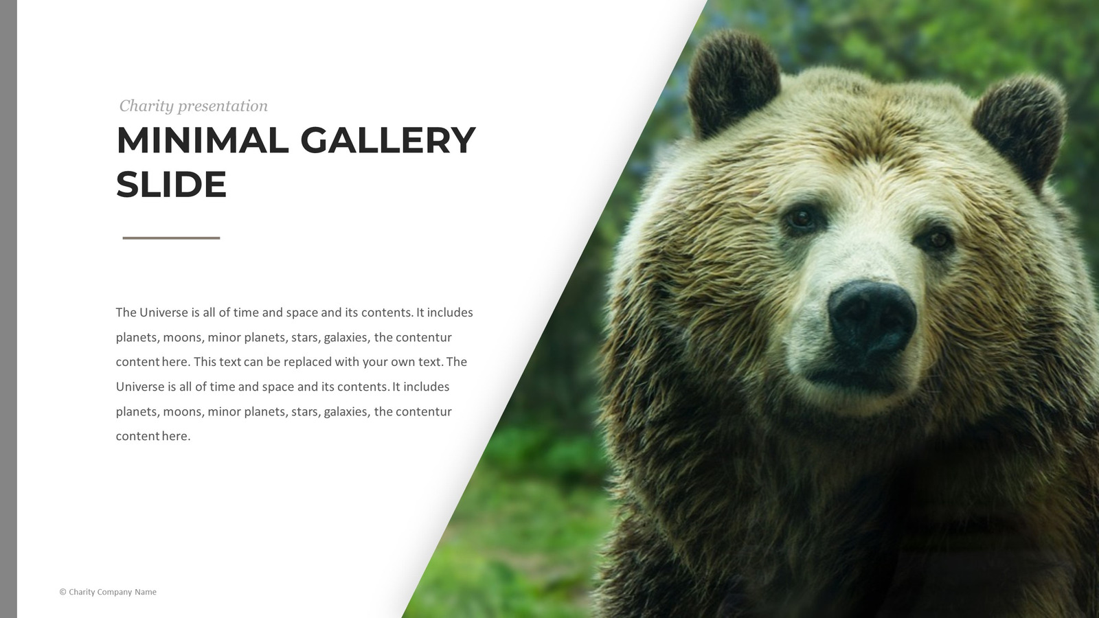 Animal Charity PowerPoint template #78793 - TemplateMonster