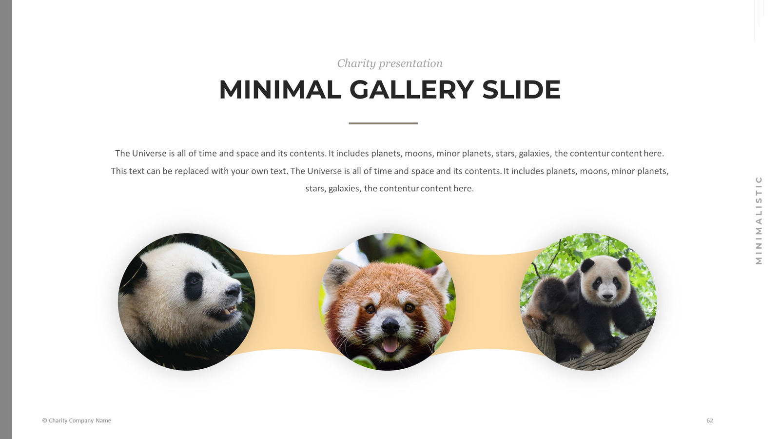 Animal Charity PowerPoint template #78793 - TemplateMonster