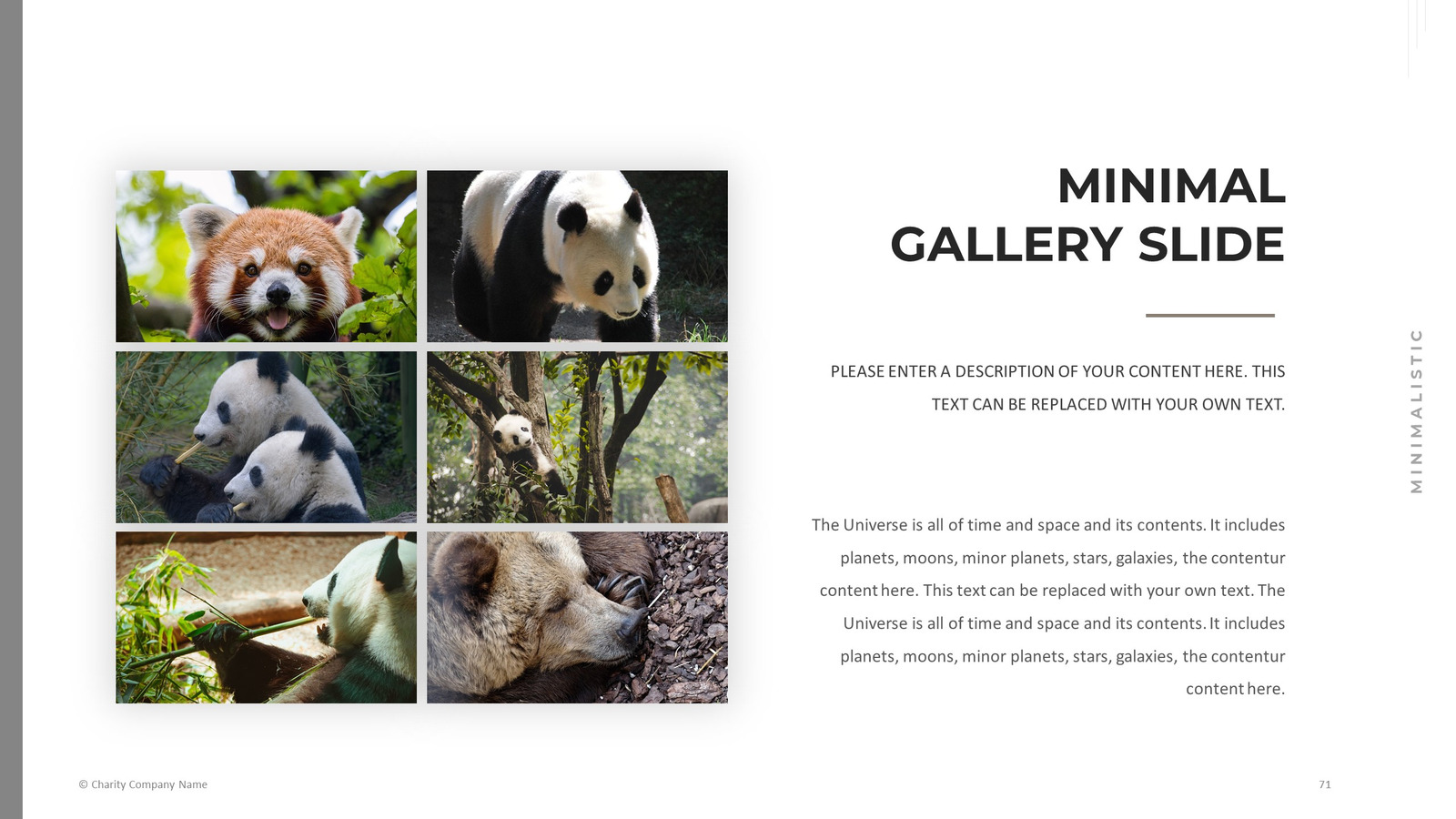 Animal Charity PowerPoint template #78793 - TemplateMonster