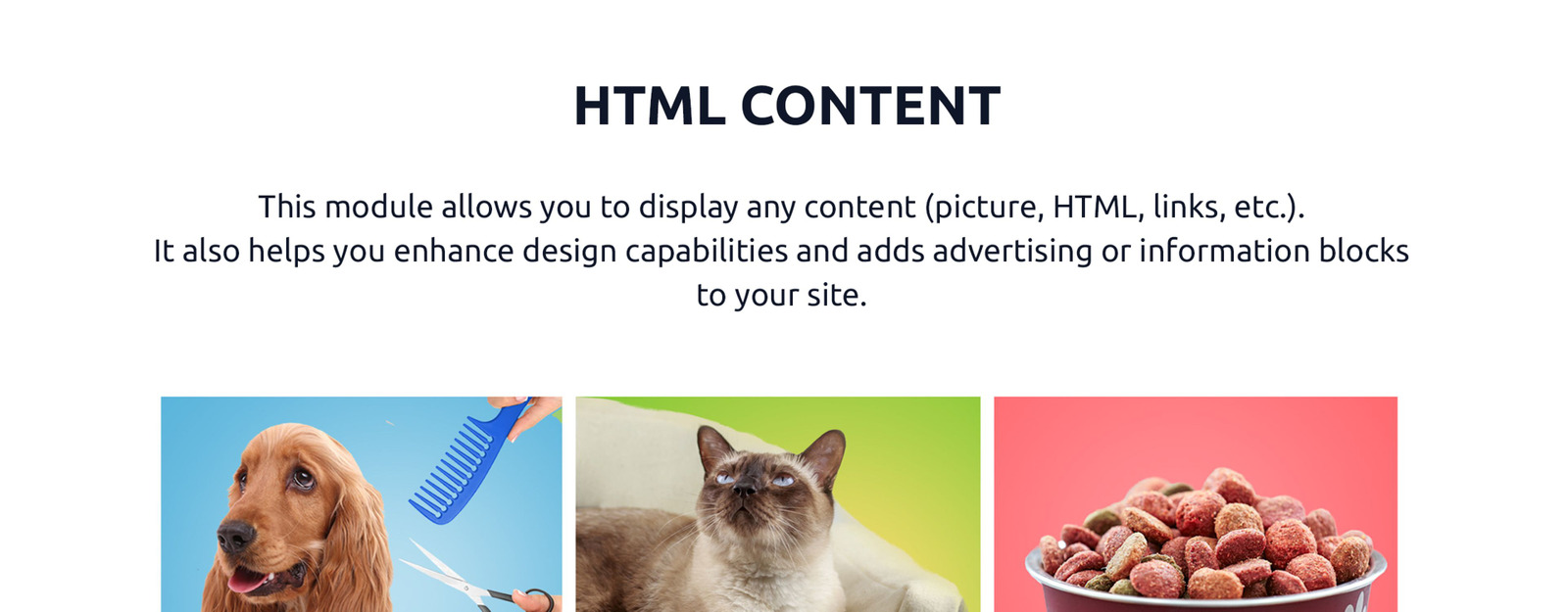 Doggo - Pet Shop PrestaShop Theme #67148 - TemplateMonster