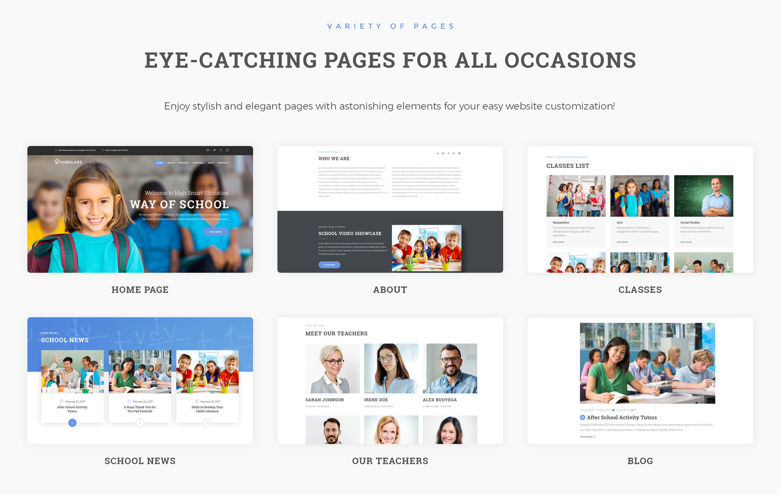 Scholary - Primary School WordPress Theme - TemplateMonster