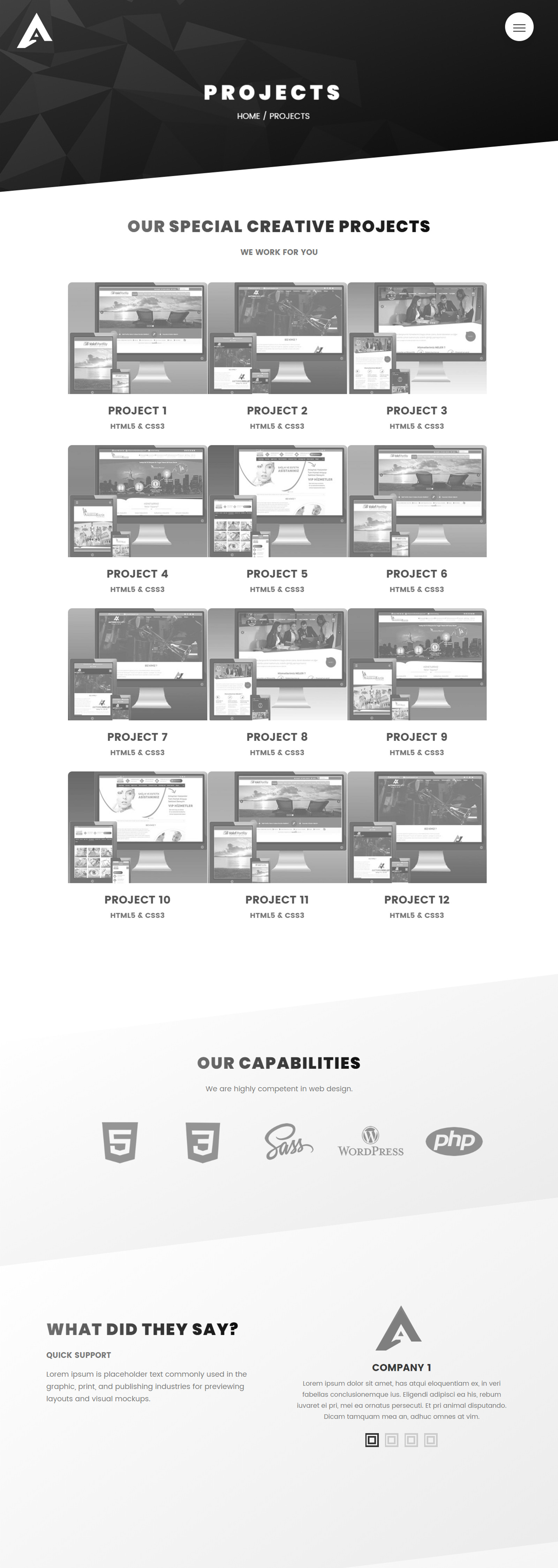 Adosting Creative Html5 & Css3 Responsive Theme Website Template