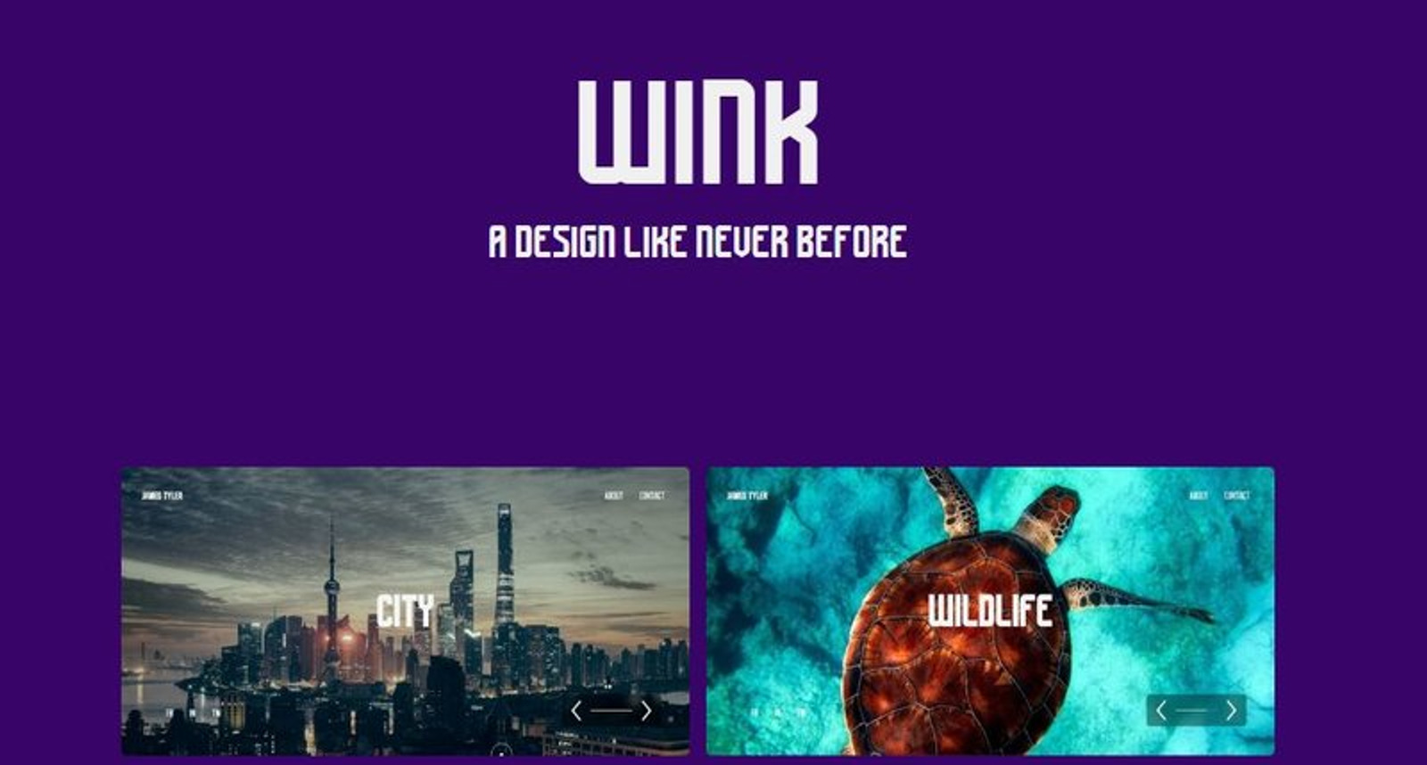 Free Photography Portfolio Bootstrap by WINK Website Template