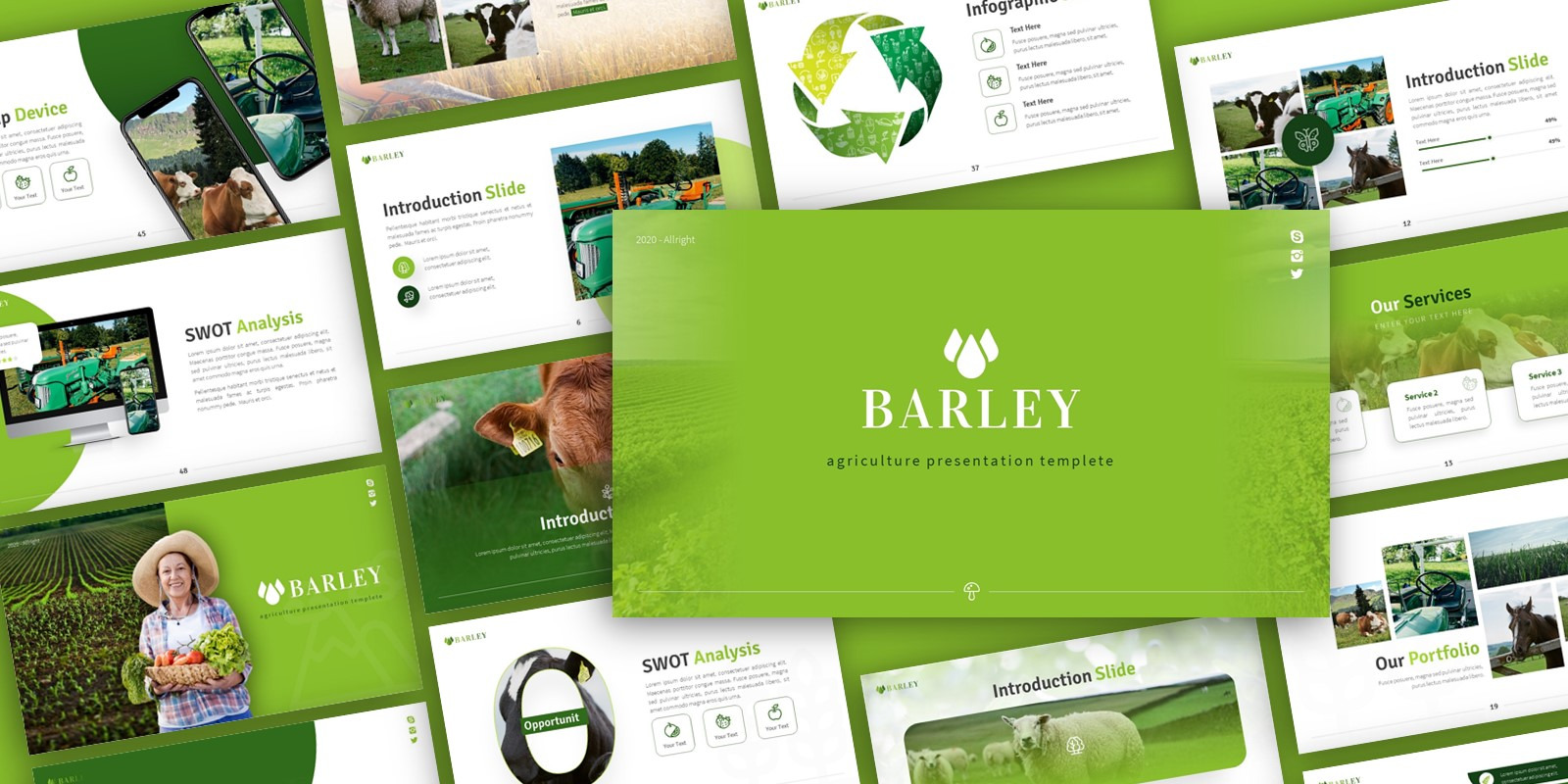 Barley Agriculture Presentation PowerPoint template