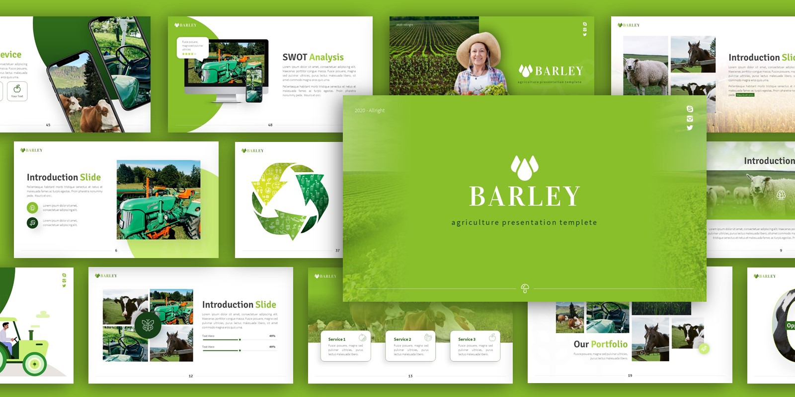 Barley Agriculture Presentation PowerPoint template