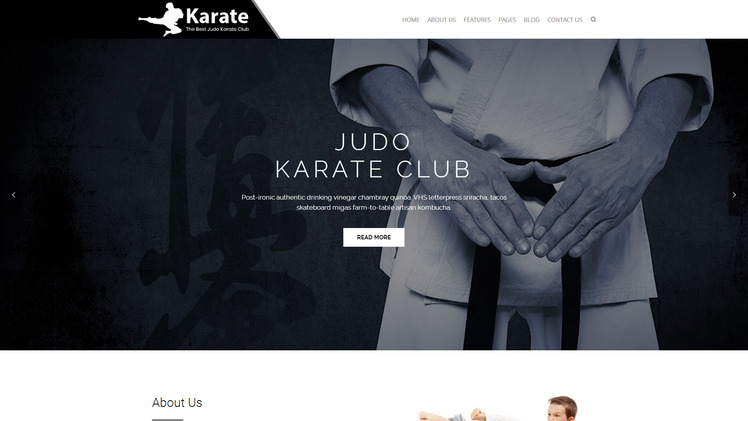 Karate Institute WordPress Theme #81188