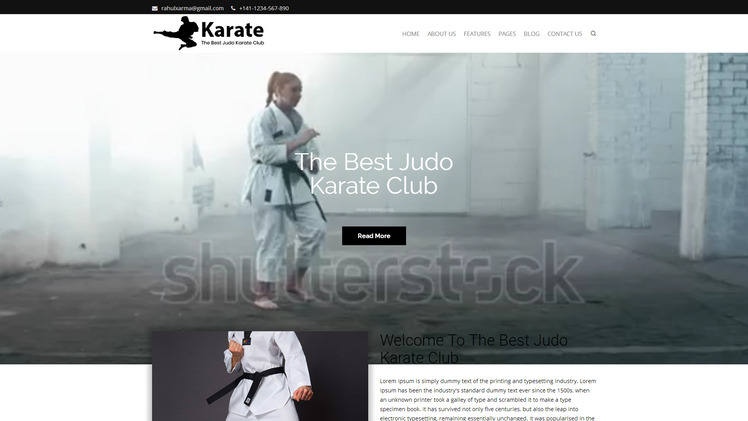 Karate Institute WordPress Theme #81188