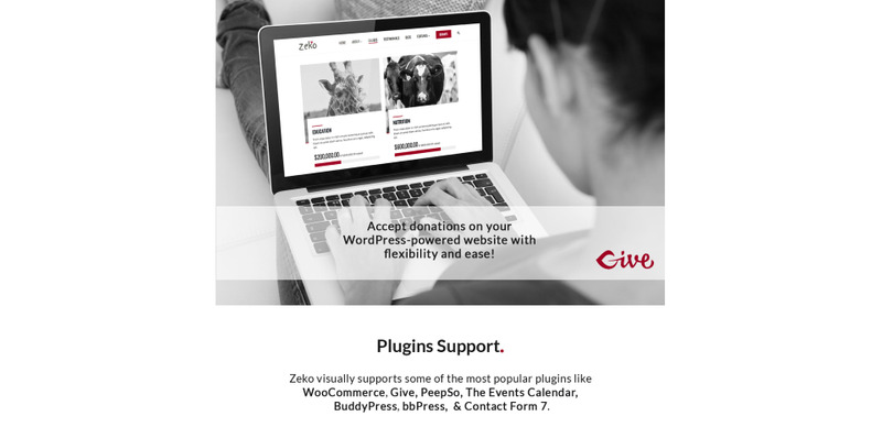 Zeko - Caridad y sin fines de lucro - Tema de WordPress