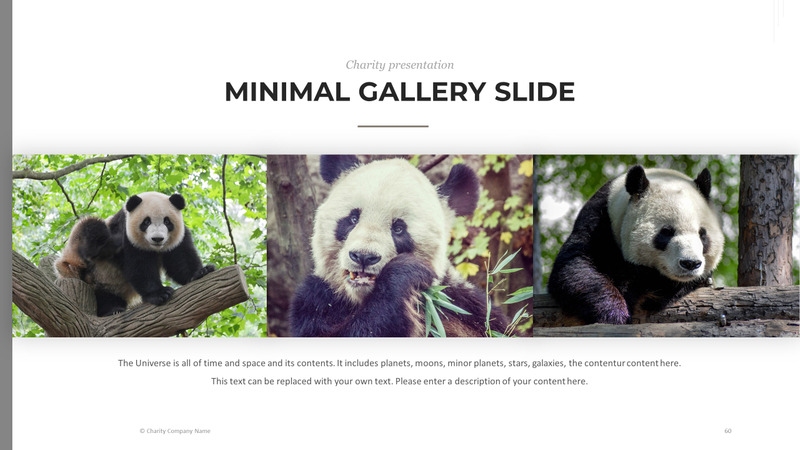 Animal Charity PowerPoint Template #78793 - TemplateMonster