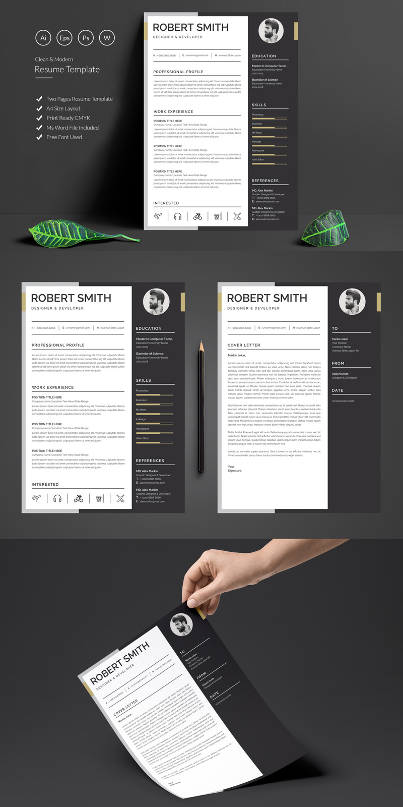 Robert Modern Resume Template #82465 - TemplateMonster