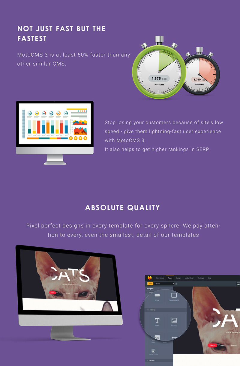 Cat Moto CMS 3 Template #59276 - TemplateMonster