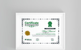 Web Design Certificate Template #66276