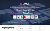 Litmus - Creative Multipurpose WordPress Theme #67369
